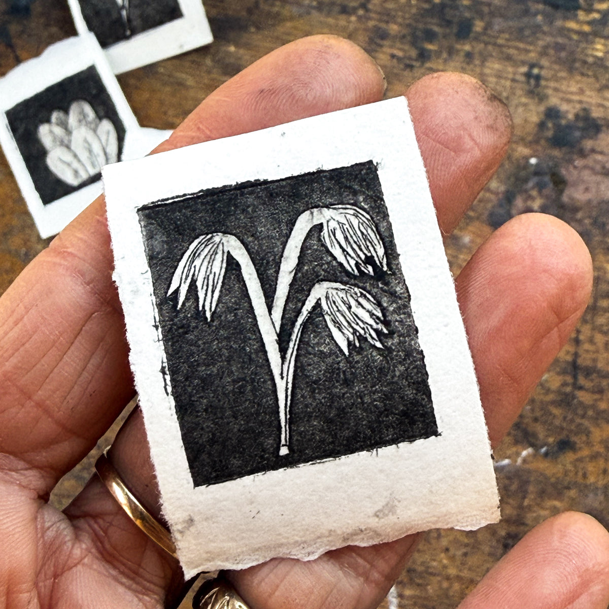 “Blue Cohosh Emerging” Tetra Pak Print – Peg and Awl