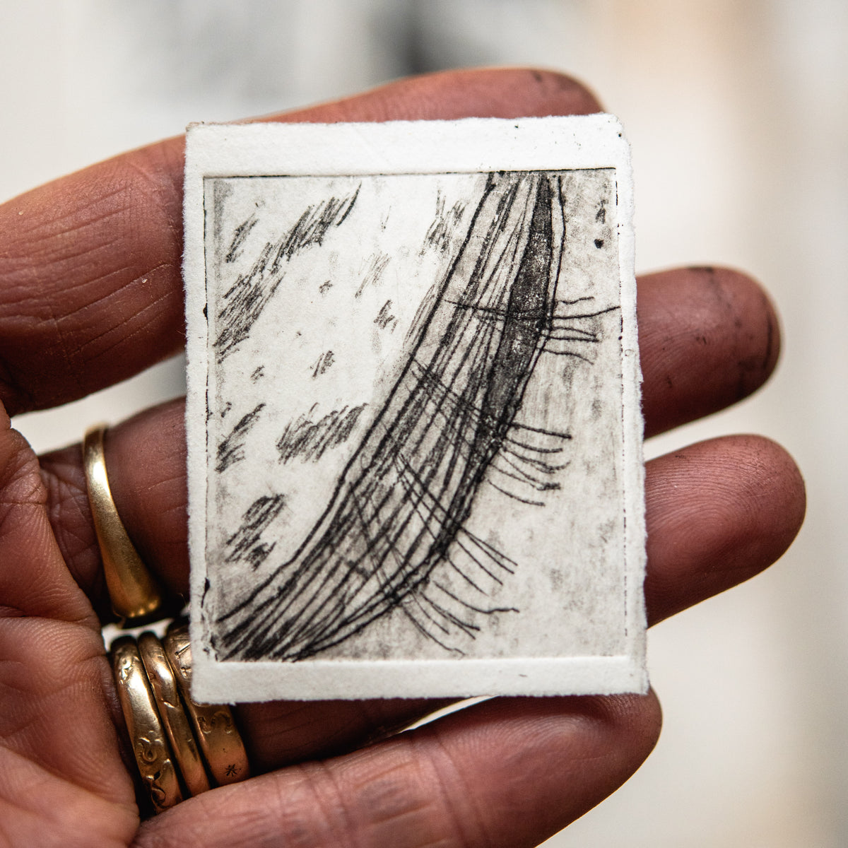 “Milkweed Seed Pod” Tetra Pak Print – Peg and Awl
