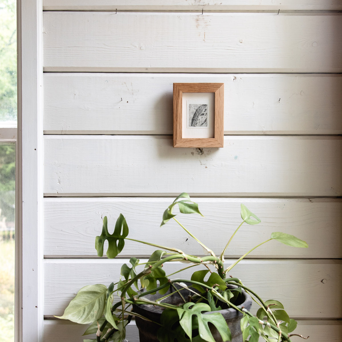 “Milkweed Seed Pod” Tetra Pak Print – Peg and Awl