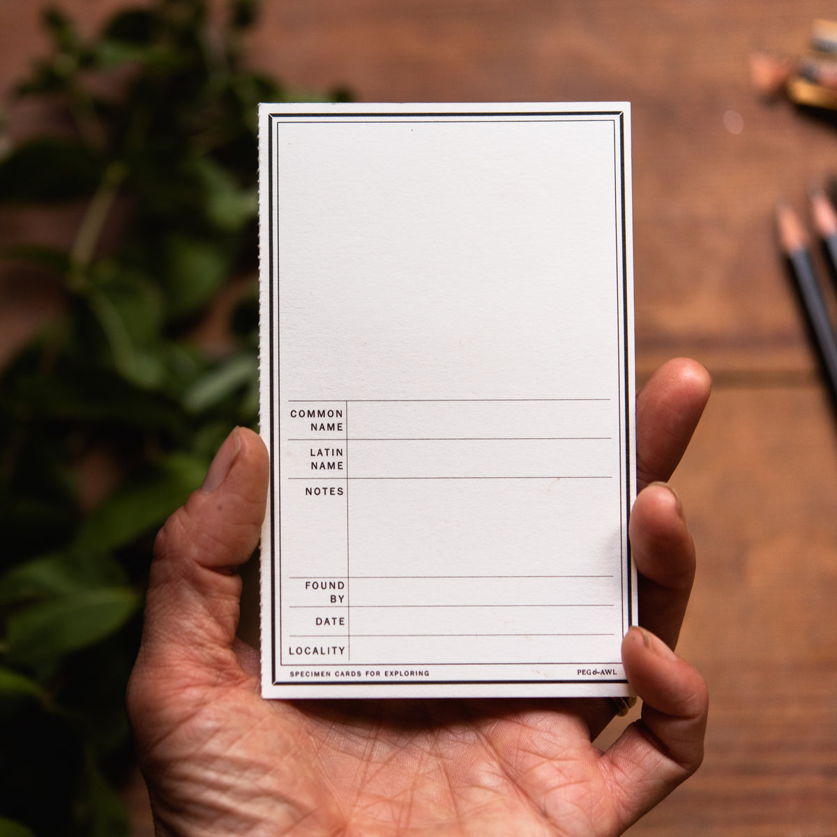 Specimen Card Notebook – Peg and Awl